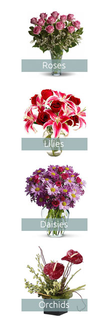 Flowers Daytona Beach 🏵️ May 2026